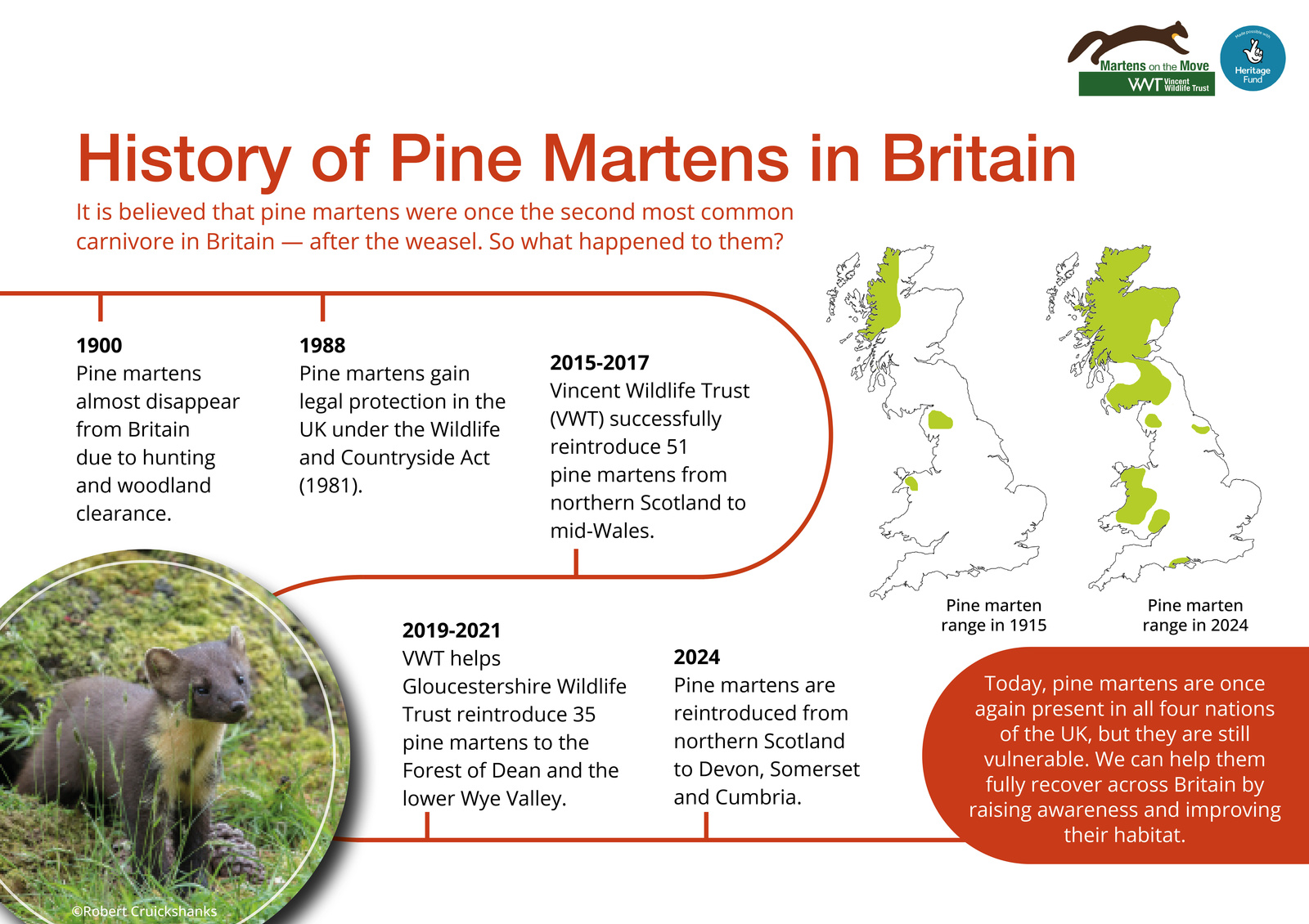 Martens on the Move | A brief history