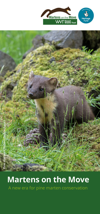 Martens on the Move | Resources