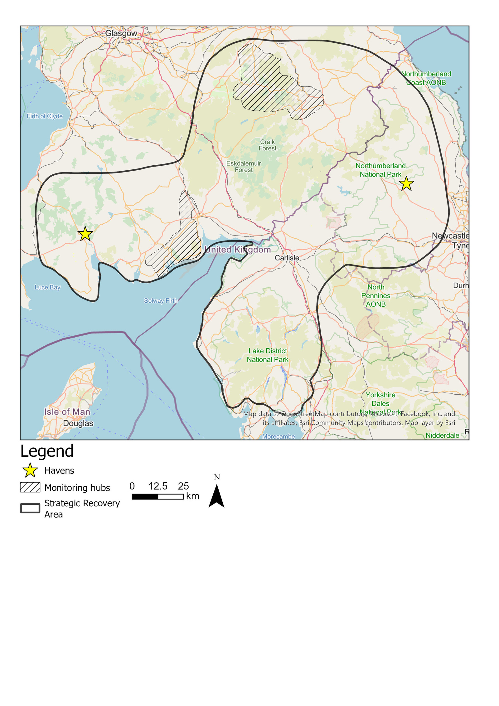 Martens on the Move | Strategic Recovery Areas