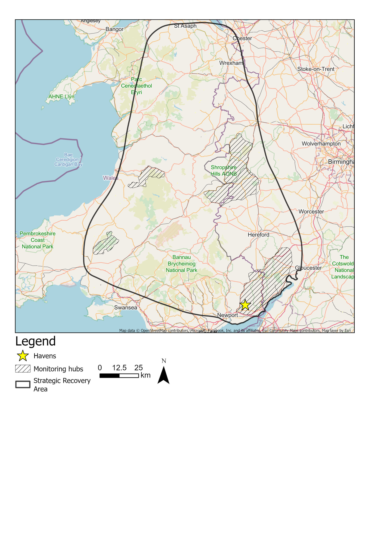 Martens on the Move | Strategic Recovery Areas