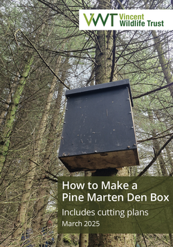 Martens on the Move | Resources