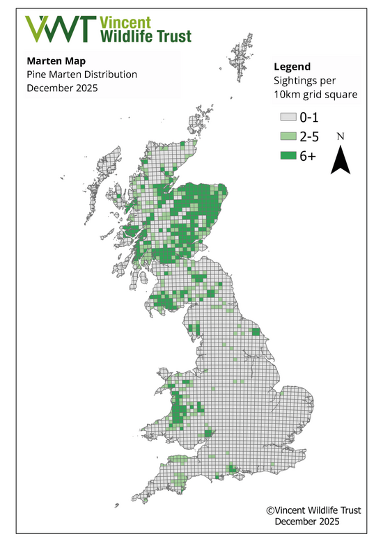 Martens on the Move | National Pine Marten Monitoring…