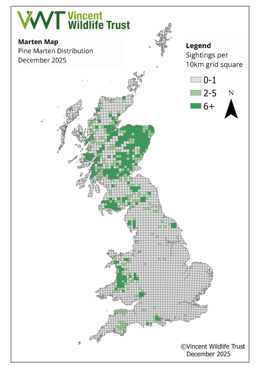 Martens on the Move | National Pine Marten Monitoring…