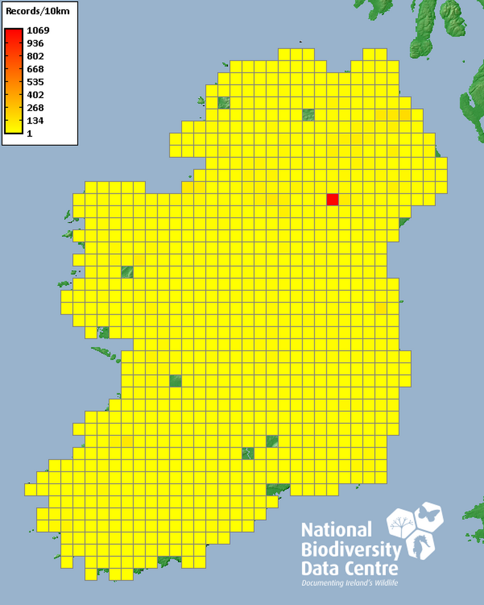 Vincent Wildlife Trust Ireland | Irish hare