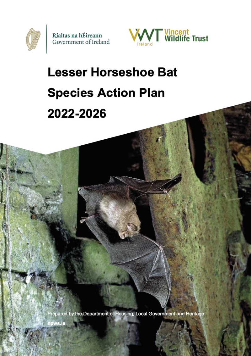 Vincent Wildlife Trust | Lesser Horseshoe Bat Species…