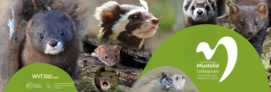 Vincent Wildlife Trust | VWT announces the date of the next…
