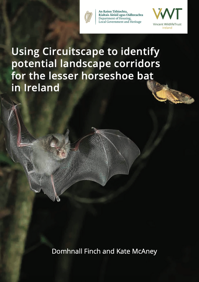 Vincent Wildlife Trust | Lesser Horseshoe Bat Species…