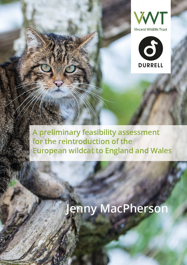 Vincent Wildlife Trust | Wildcat Project
