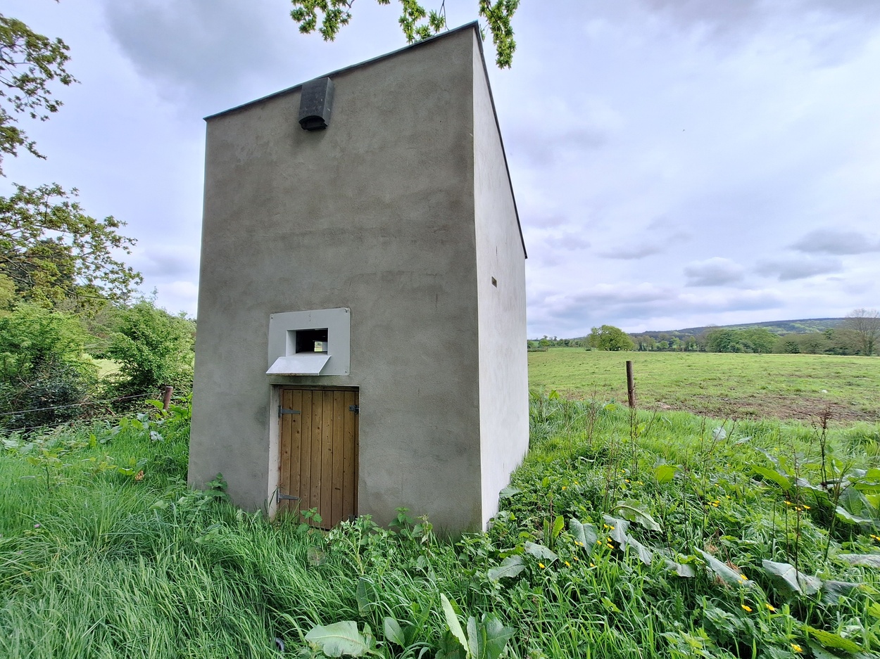 Vincent Wildlife Trust | Lesser Horseshoe Bat Species…