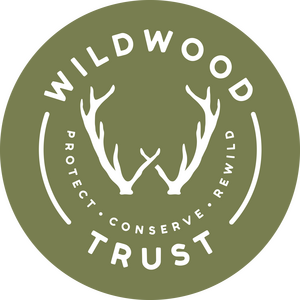 Vincent Wildlife Trust | Wildcat Project