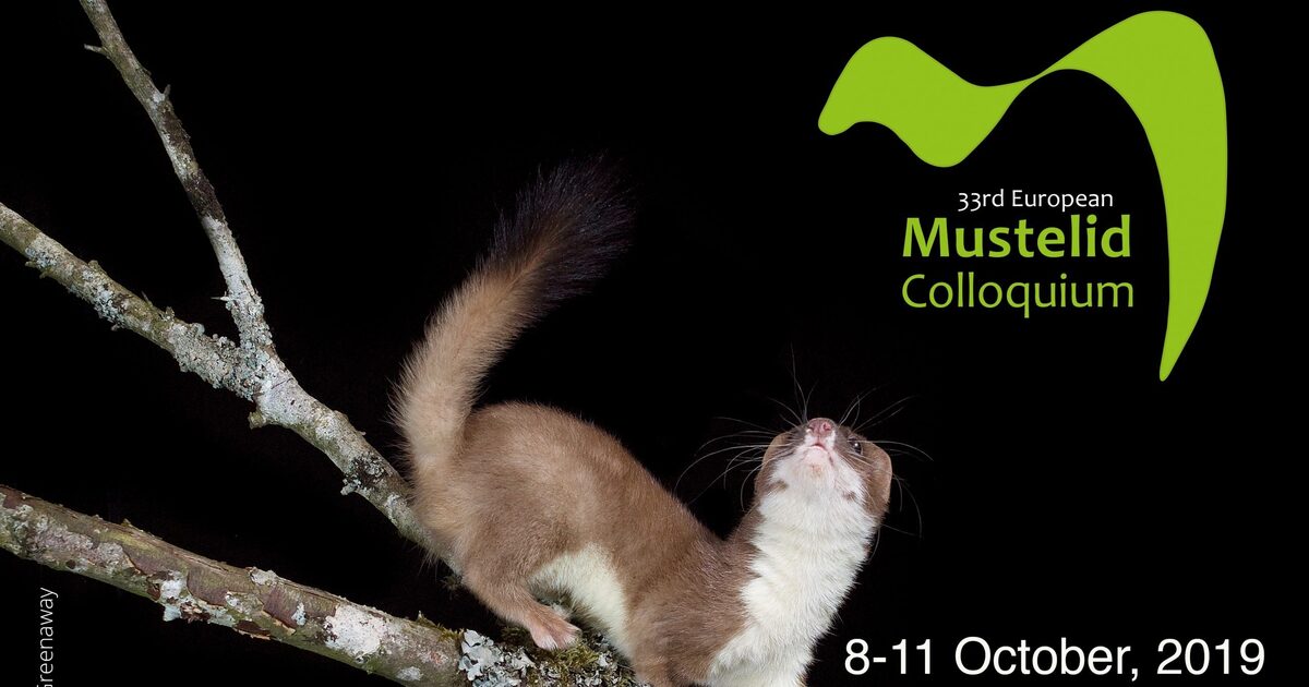 Vincent Wildlife Trust | European Mustelid Colloquium